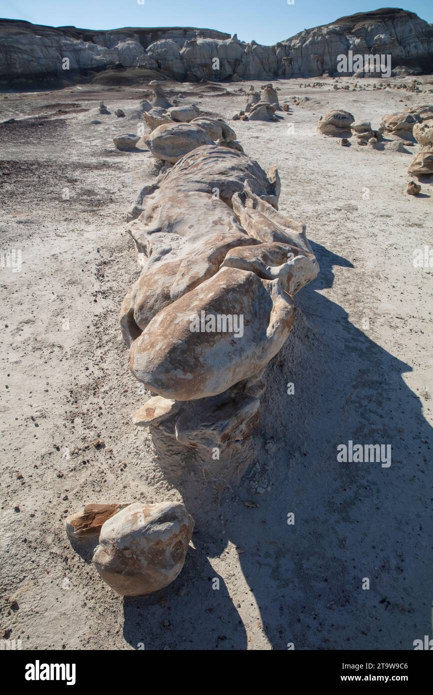 Classic American Landscapes: Bisti Wilderness in NW New Mexico is an ...