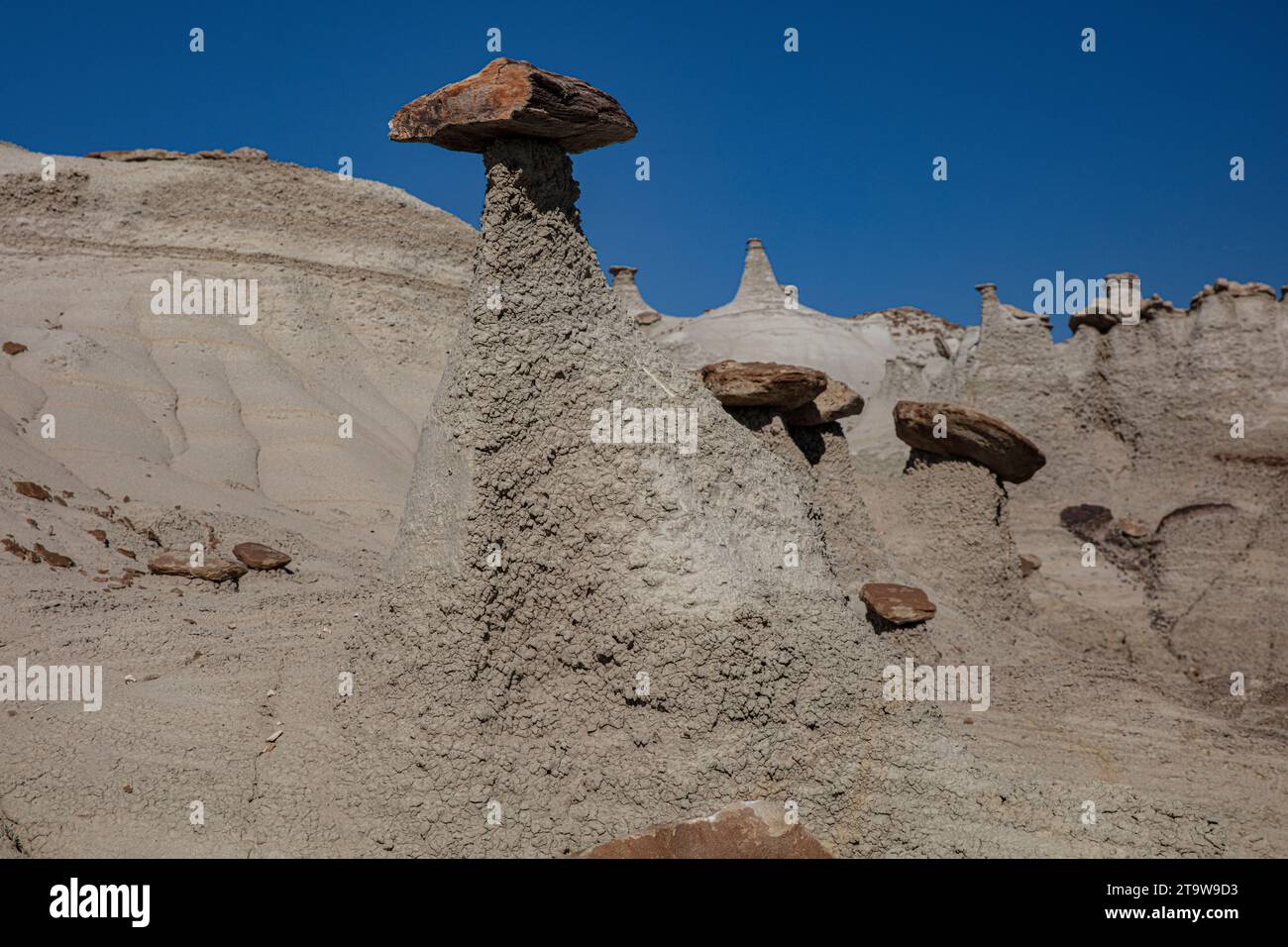 Classic American Landscapes: Bisti Wilderness in NW New Mexico is an ...