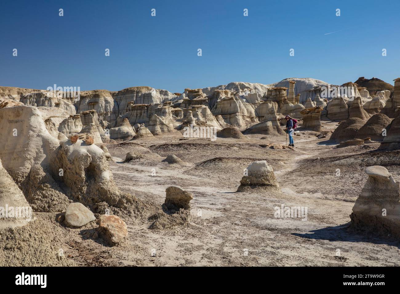 Classic American Landscapes: Bisti Wilderness in NW New Mexico is an ...