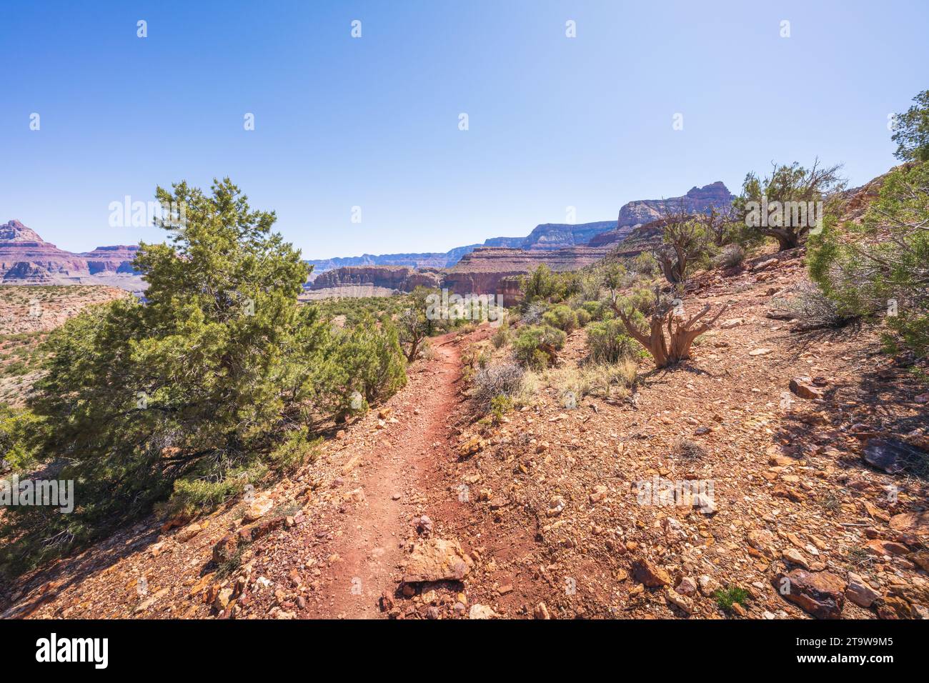 hiking the grandview trail in the grand canyon national park in arizona ...