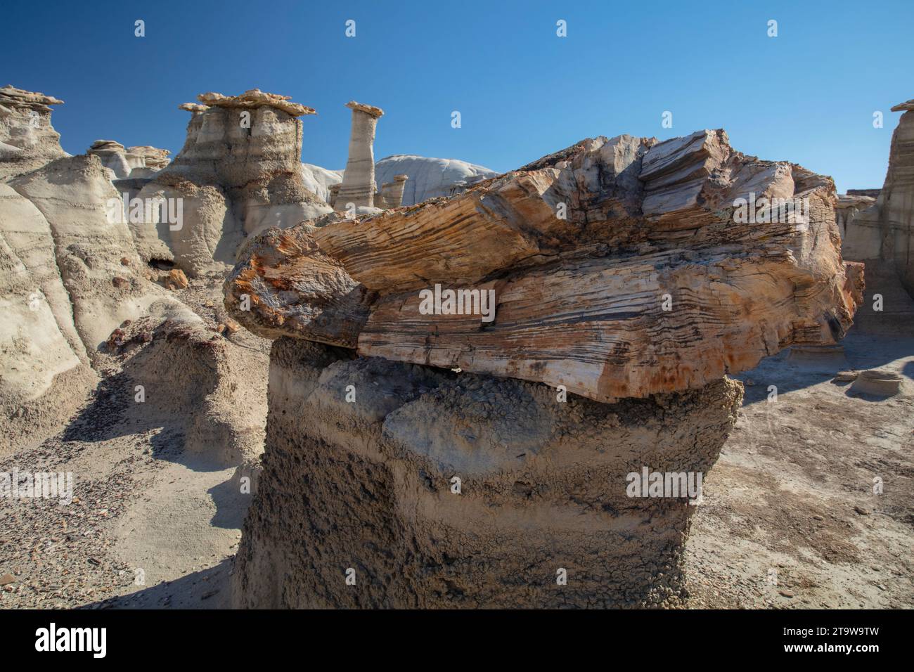 Classic American Landscapes: Bisti Wilderness in NW New Mexico is an ...