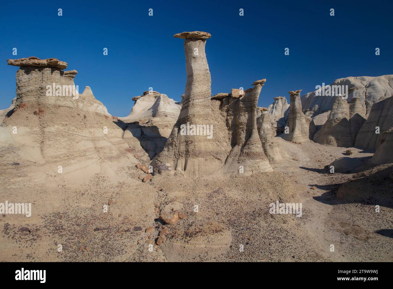Cretaceous tertiary boundary hi-res stock photography and images - Alamy