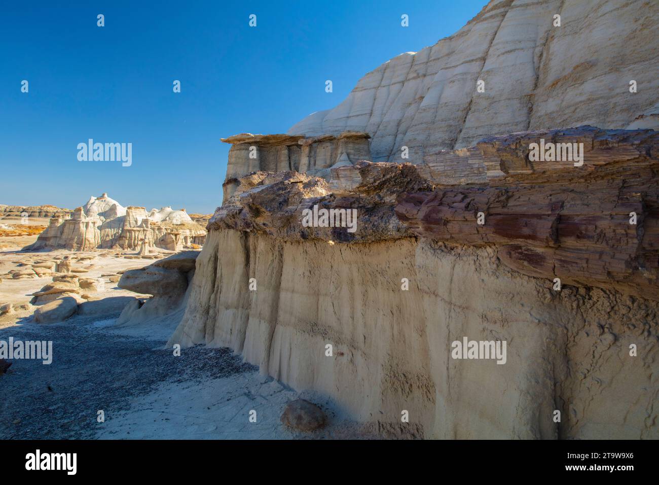 Classic American Landscapes: Bisti Wilderness in NW New Mexico is an ...