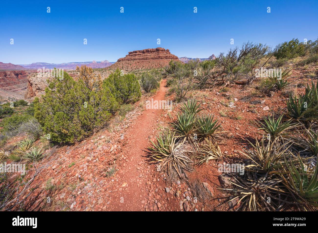 hiking the grandview trail in the grand canyon national park in arizona ...