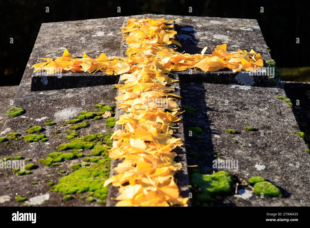 Autumn has arrived in the South-West of France. Autumn colors in a ...