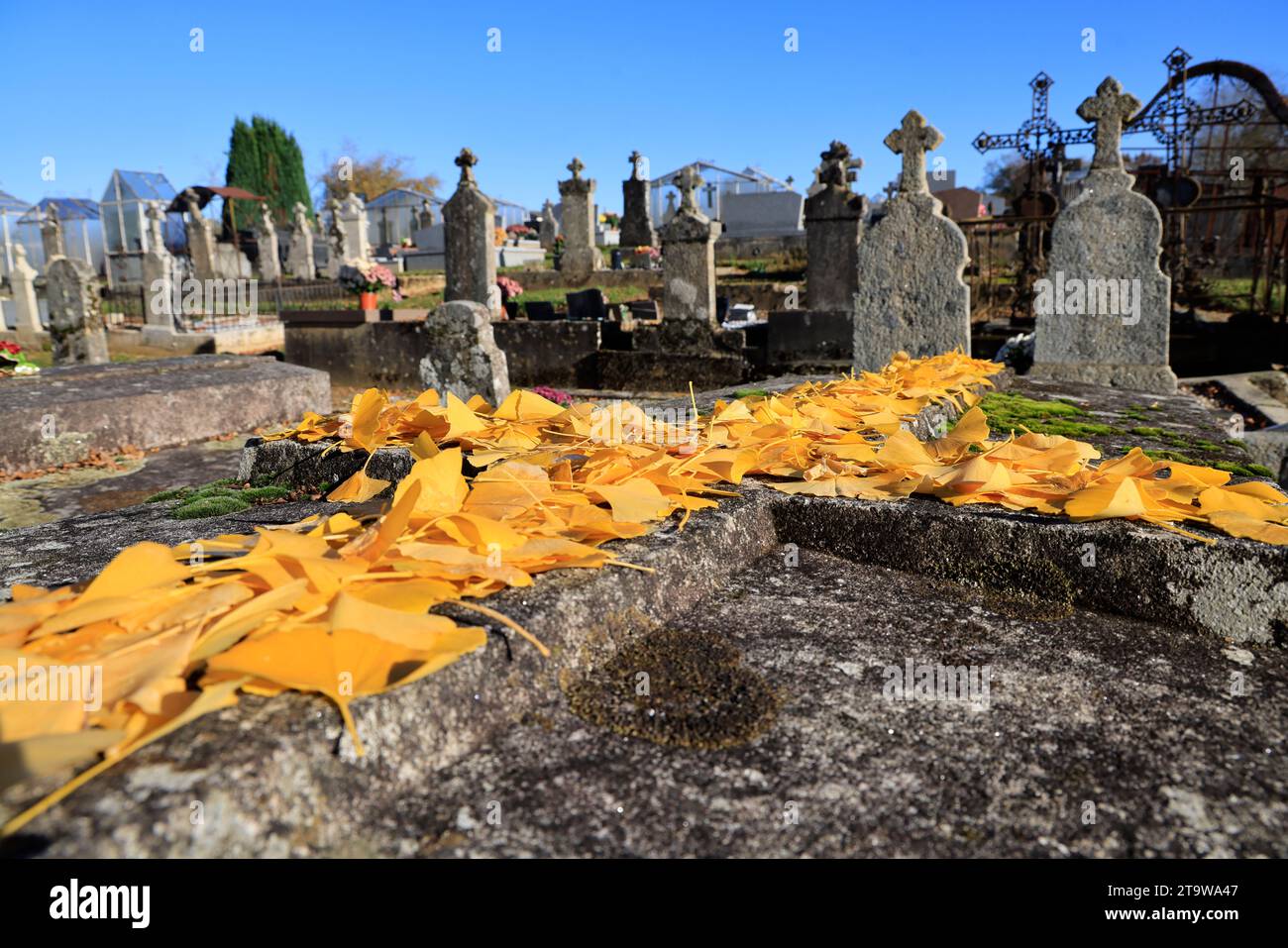 Autumn has arrived in the South-West of France. Autumn colors in a ...