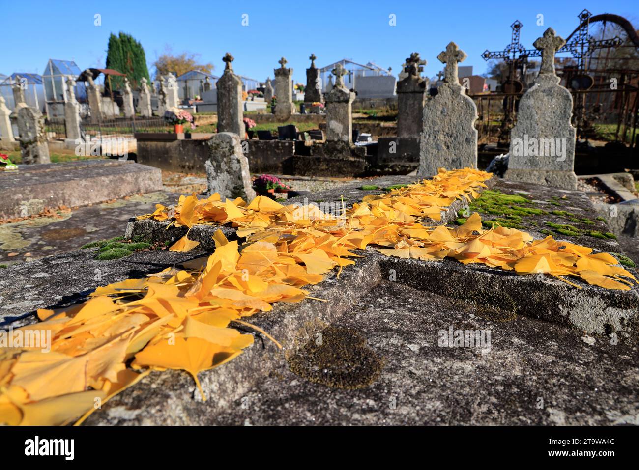 Autumn has arrived in the South-West of France. Autumn colors in a ...