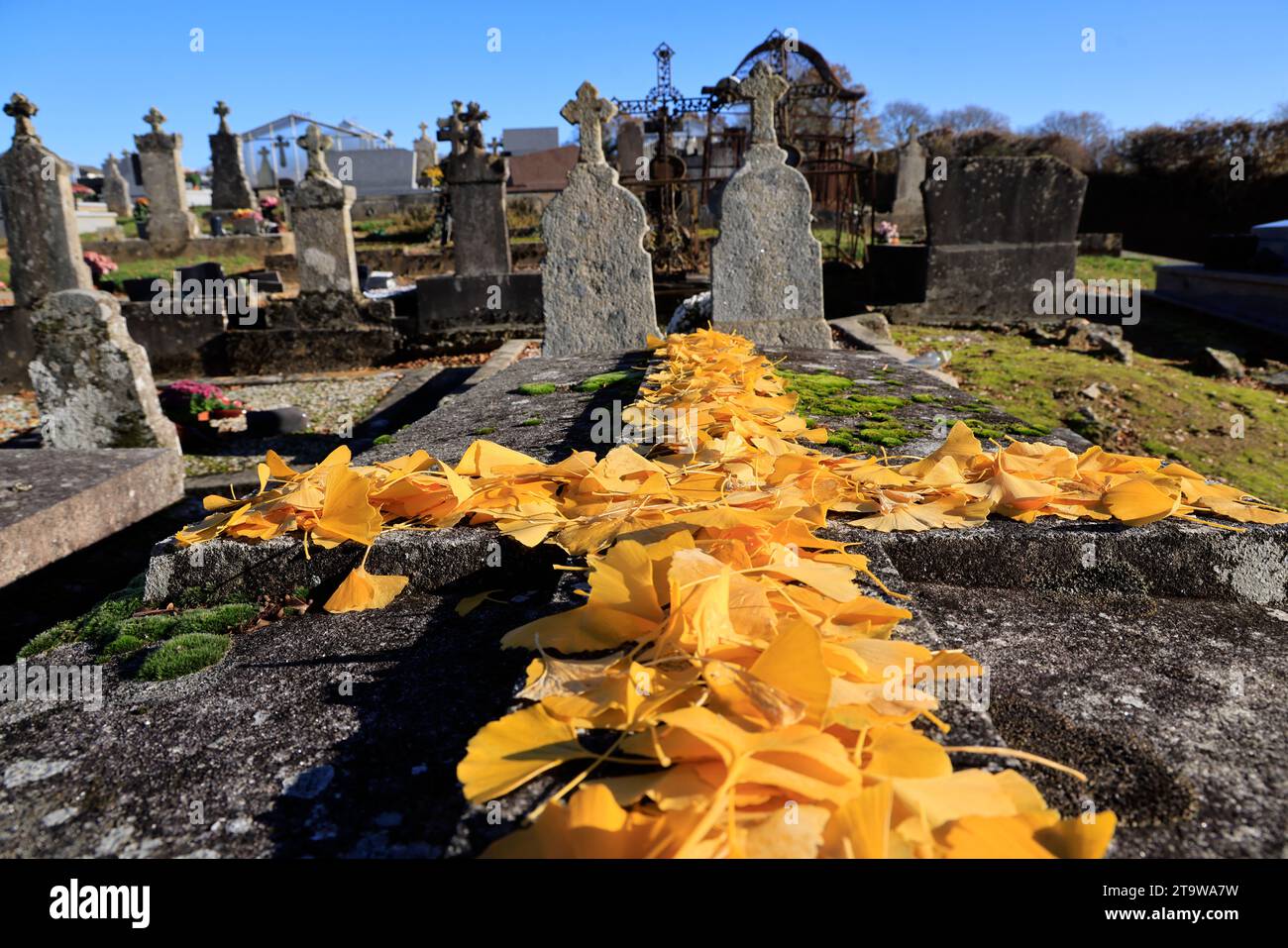 Autumn has arrived in the South-West of France. Autumn colors in a ...