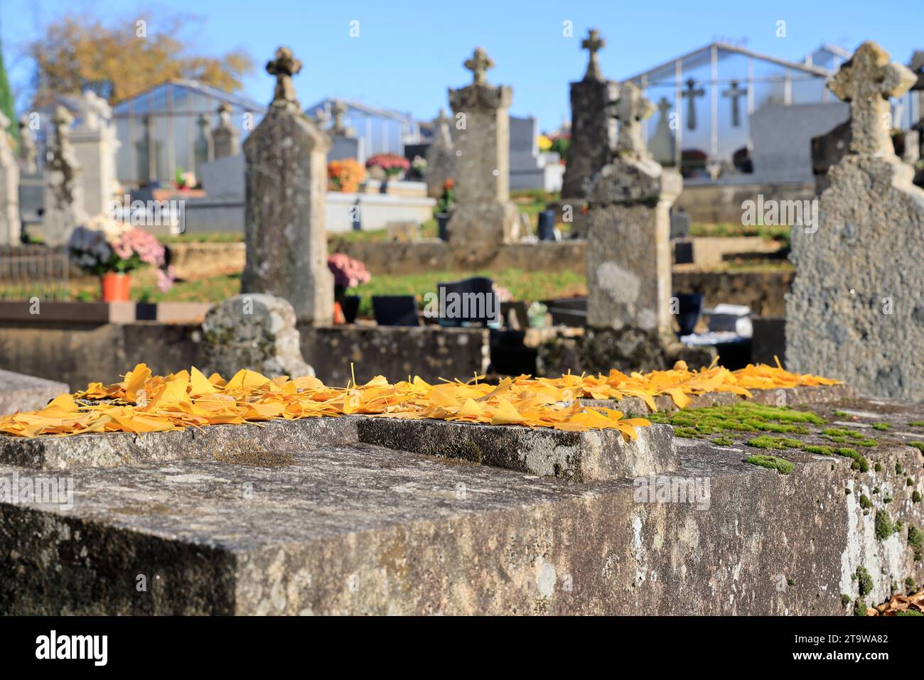 Autumn has arrived in the South-West of France. Autumn colors in a ...