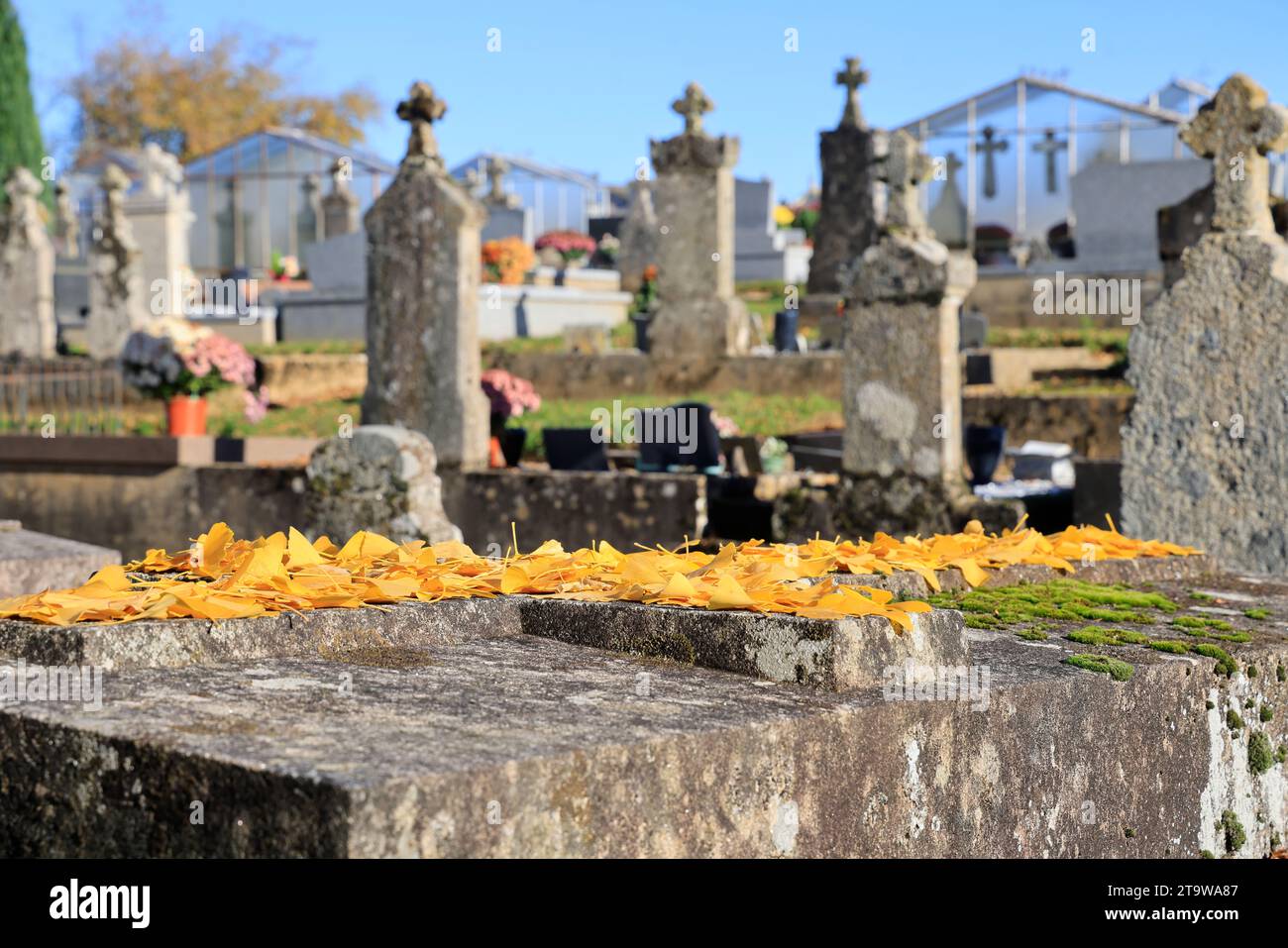 Autumn has arrived in the South-West of France. Autumn colors in a ...