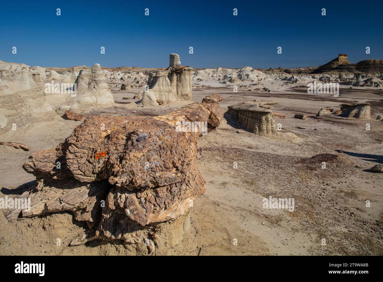 Classic American Landscapes: Bisti Wilderness in NW New Mexico is an ...