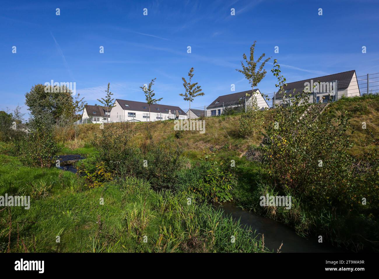 Recklinghausen, Nordrhein-Westfalen, Deutschland - Renaturierter ...