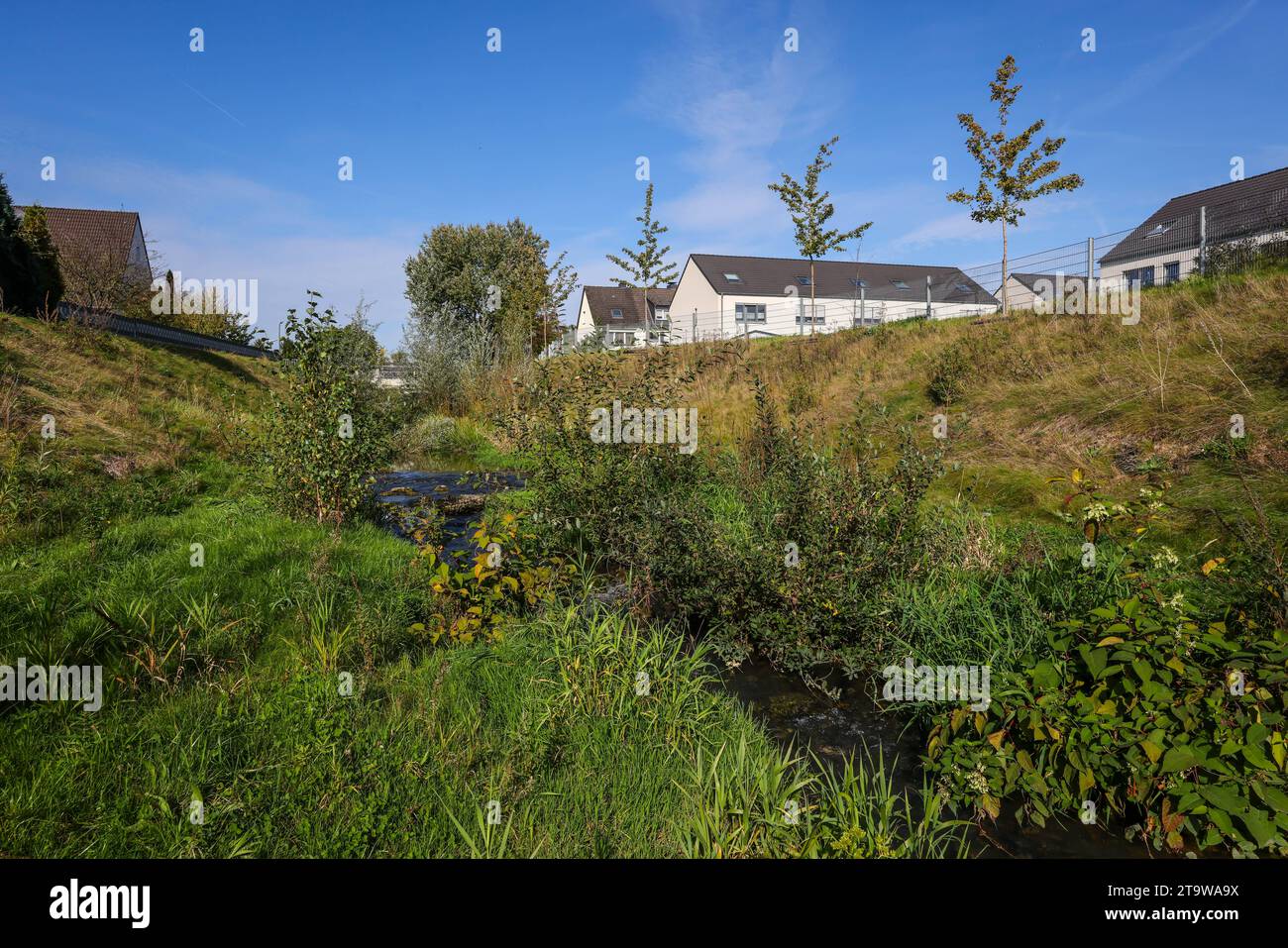 Recklinghausen, Nordrhein-Westfalen, Deutschland - Renaturierter ...