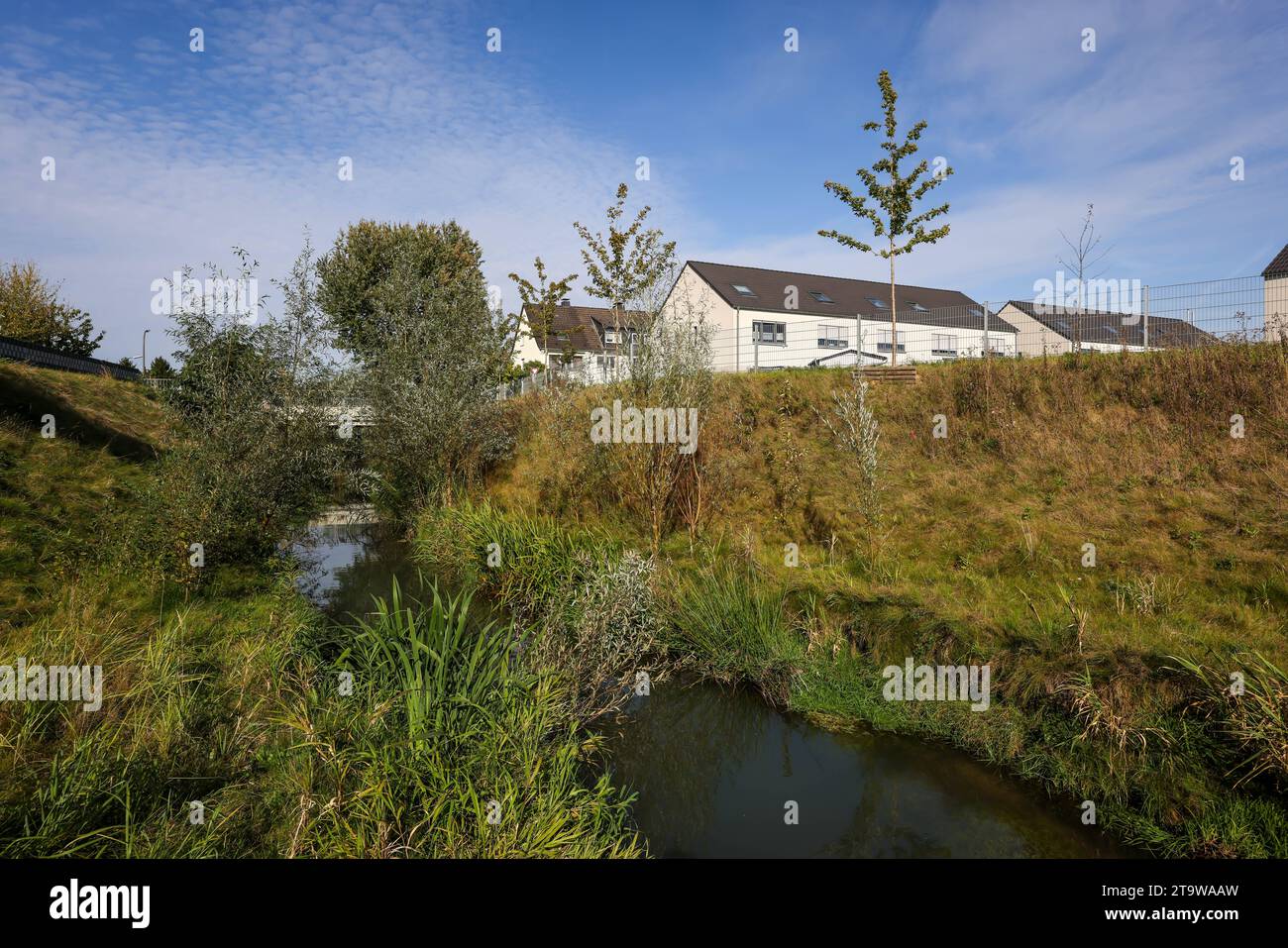 Recklinghausen, Nordrhein-Westfalen, Deutschland - Renaturierter ...