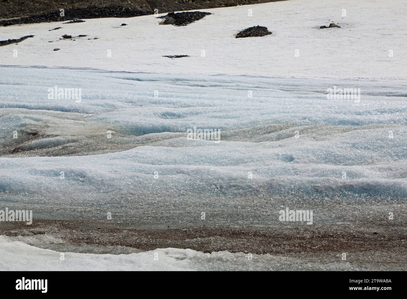 Glacier surface and moraine - Athabasca Glacier, Canada Stock Photo - Alamy
