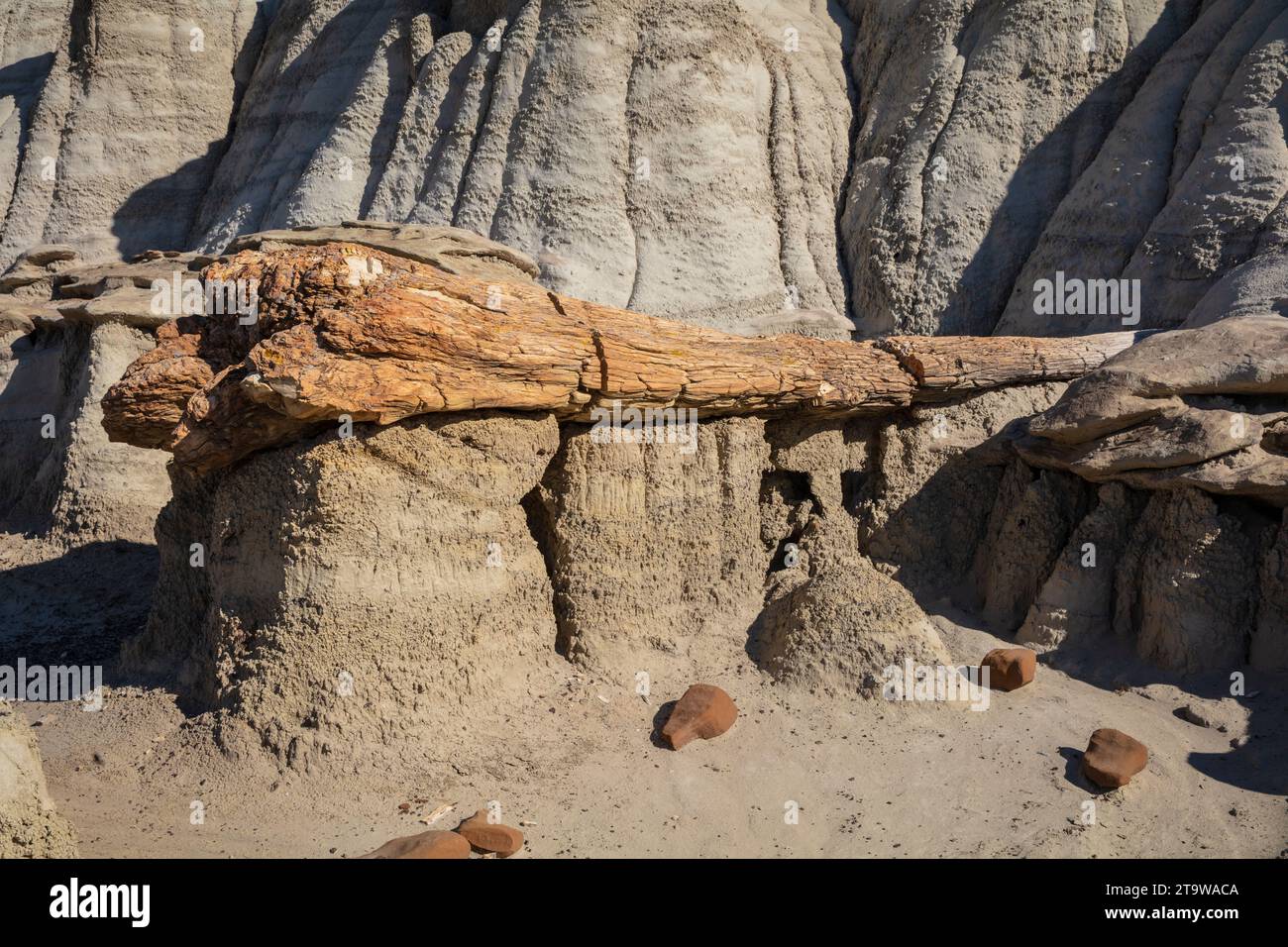 Classic American Landscapes: Bisti Wilderness in NW New Mexico is an ...