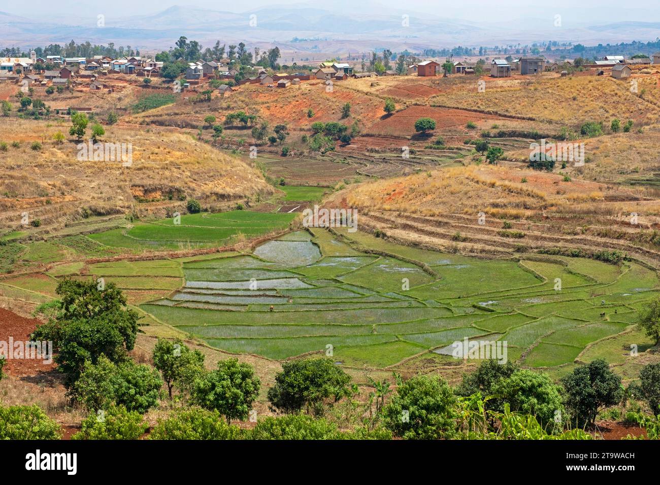 Malagasy rice terraces / paddies and rural village on the countryside ...