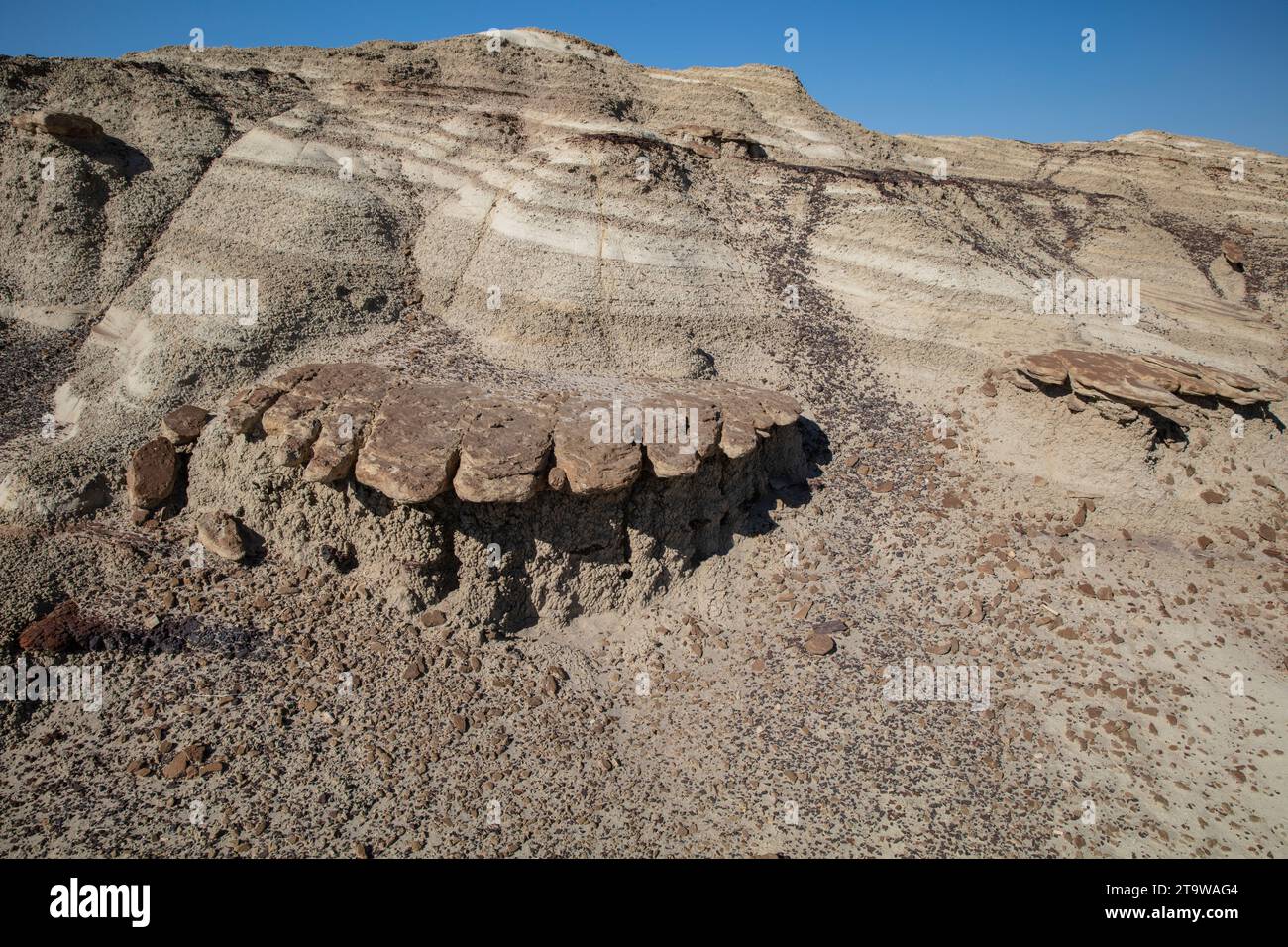 Classic American Landscapes: Bisti Wilderness in NW New Mexico is an ...