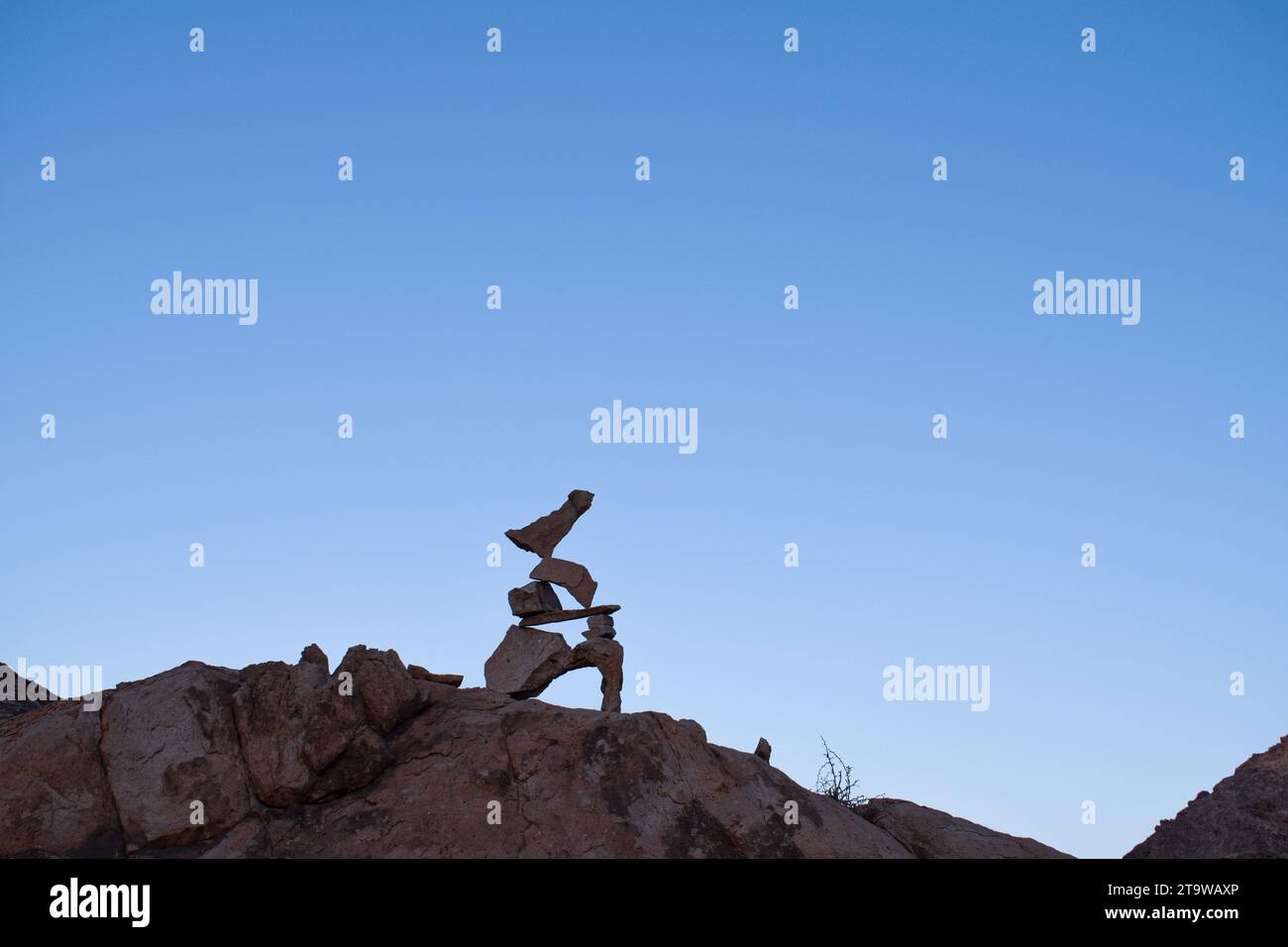 An idyllic outdoor scene featuring a collection of sculptures made from ...