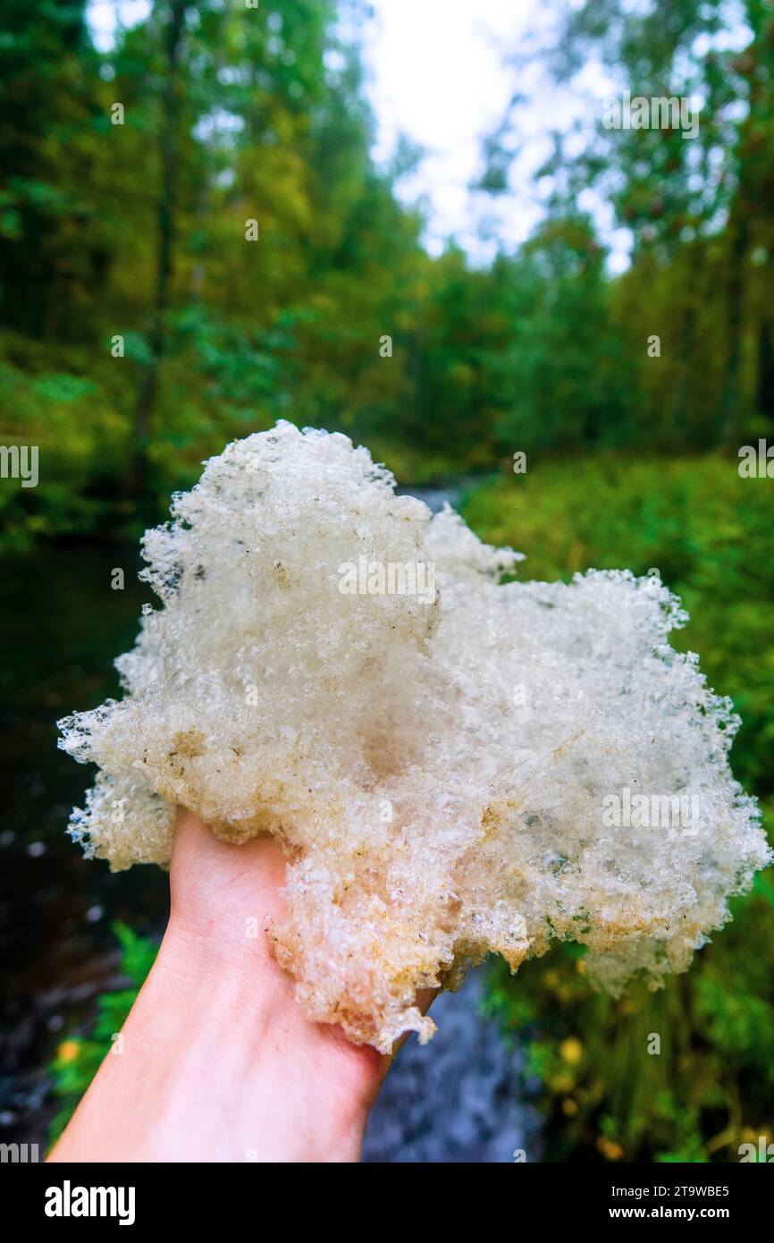 Dirty foam from the surface of the forest river with biological ...