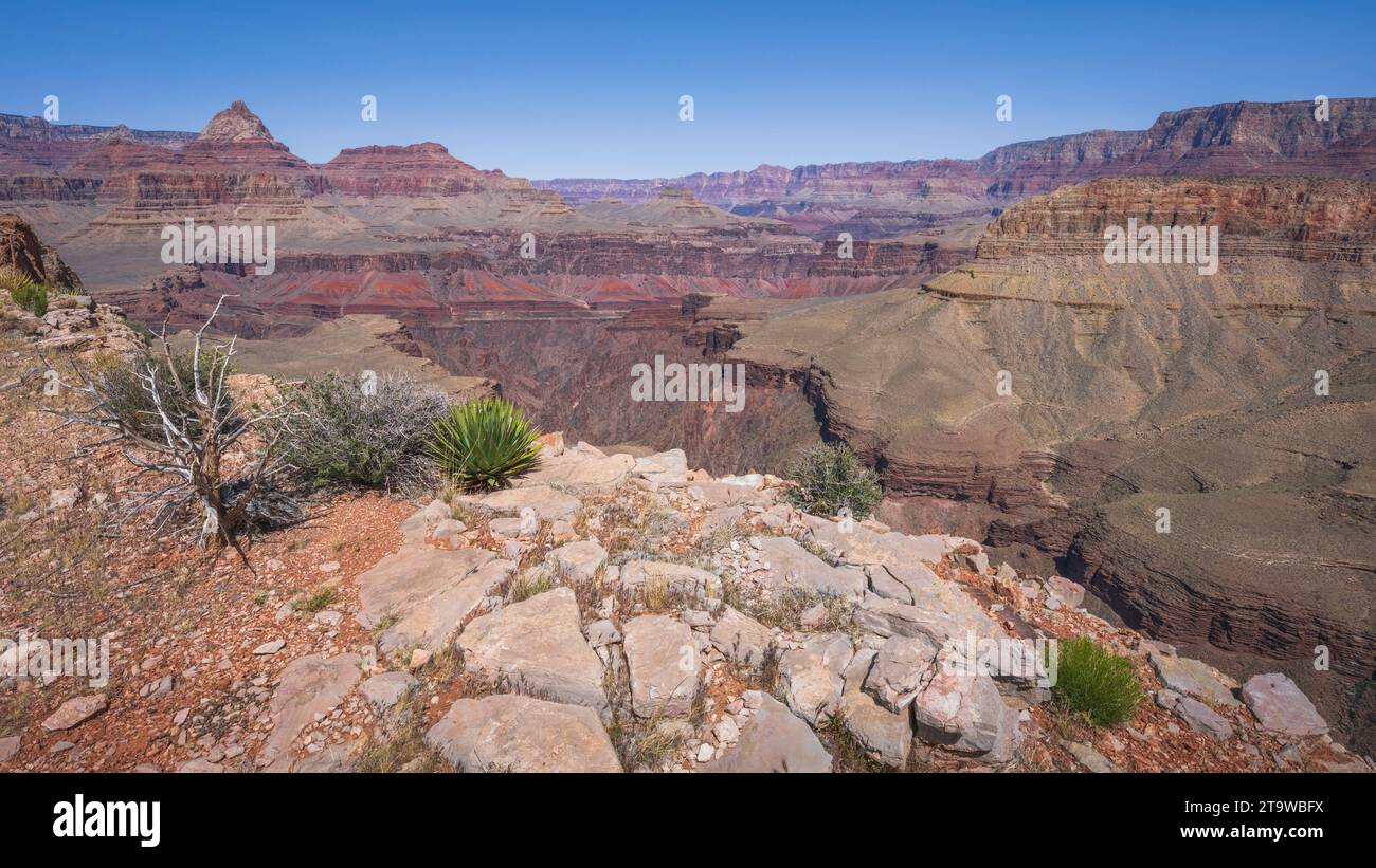 hiking the grandview trail in the grand canyon national park in arizona ...