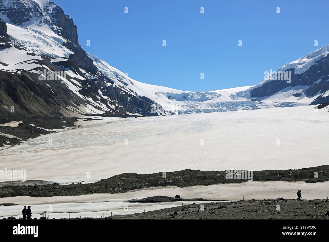 Terminal moraine of Athabasca Glacier, Canada Stock Photo - Alamy