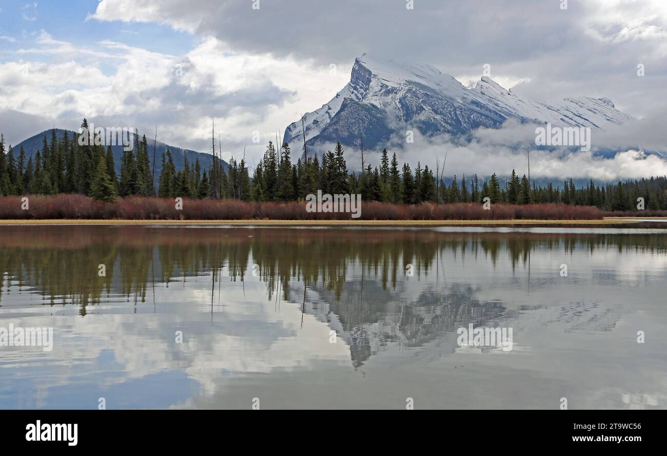 Mt Rundle behind forest - Vermilion Lake, Canada Stock Photo - Alamy