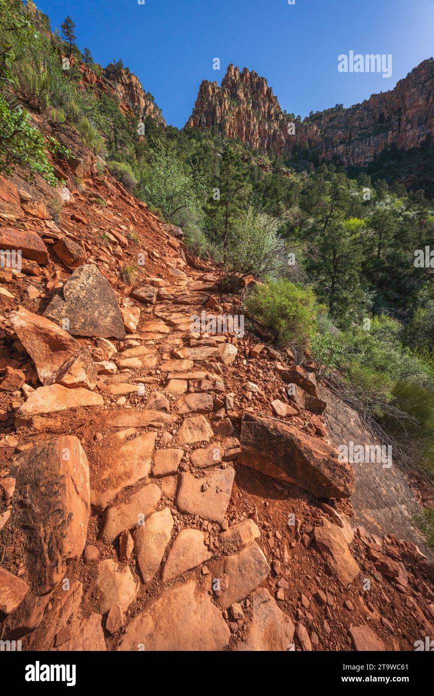 hiking the grandview trail in the grand canyon national park in arizona ...
