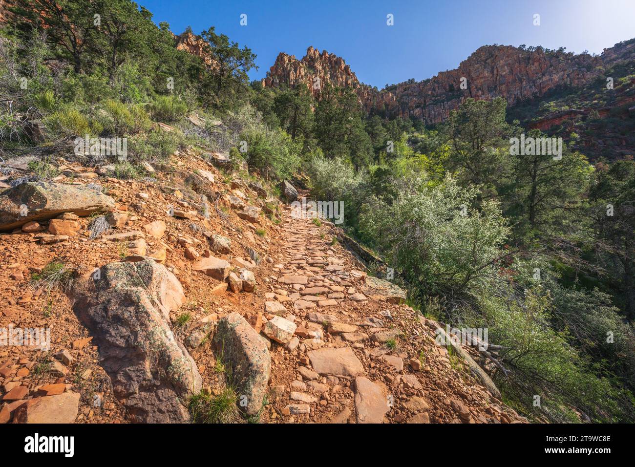 hiking the grandview trail in the grand canyon national park in arizona ...