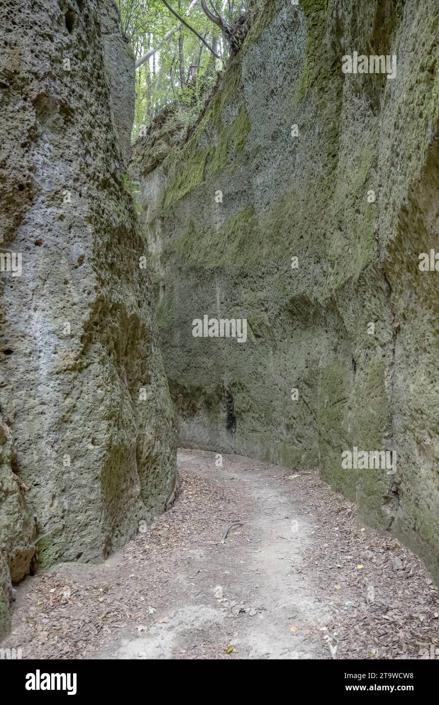 path bend among dug rock cliffs under forest at Vie Cave historical ...
