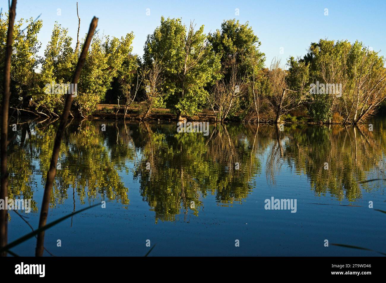 Natural beauty, landscape of calm blue waters with trees & foliage ...