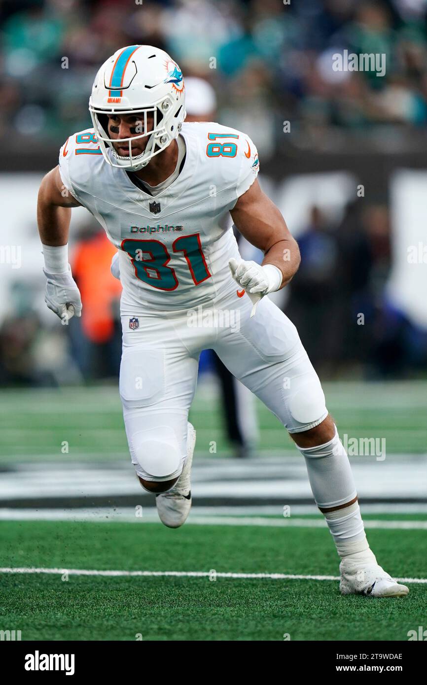 Miami Dolphins tight end Durham Smythe (81) during an NFL football game ...