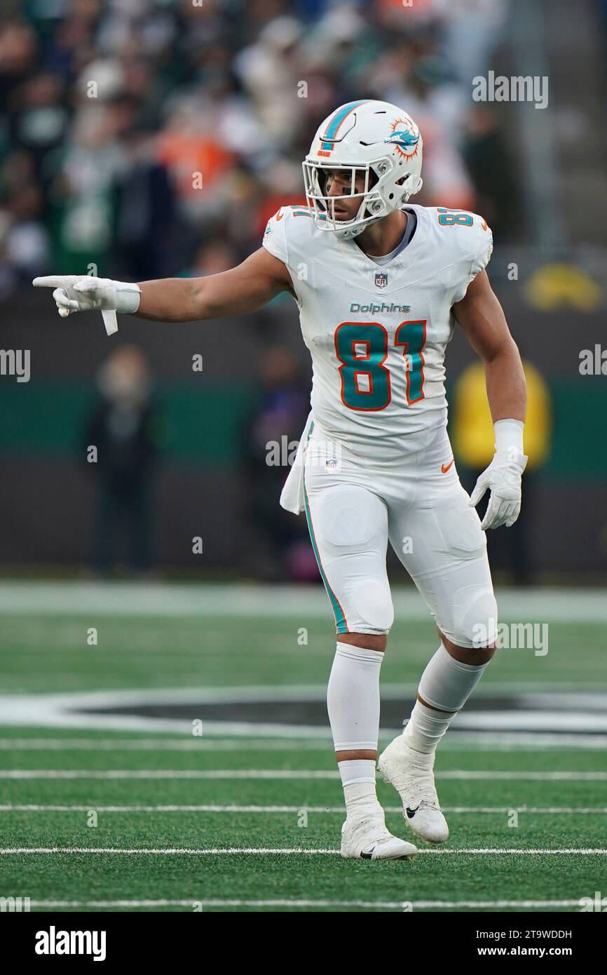 Miami Dolphins tight end Durham Smythe (81) during an NFL football game ...