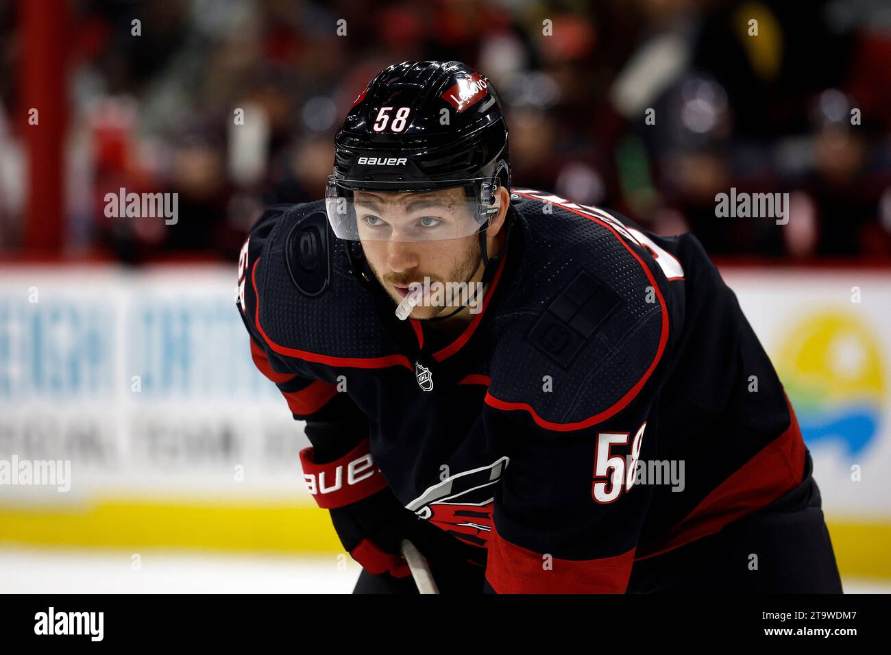 Carolina Hurricanes' Michael Bunting (58) watched the puck against the ...