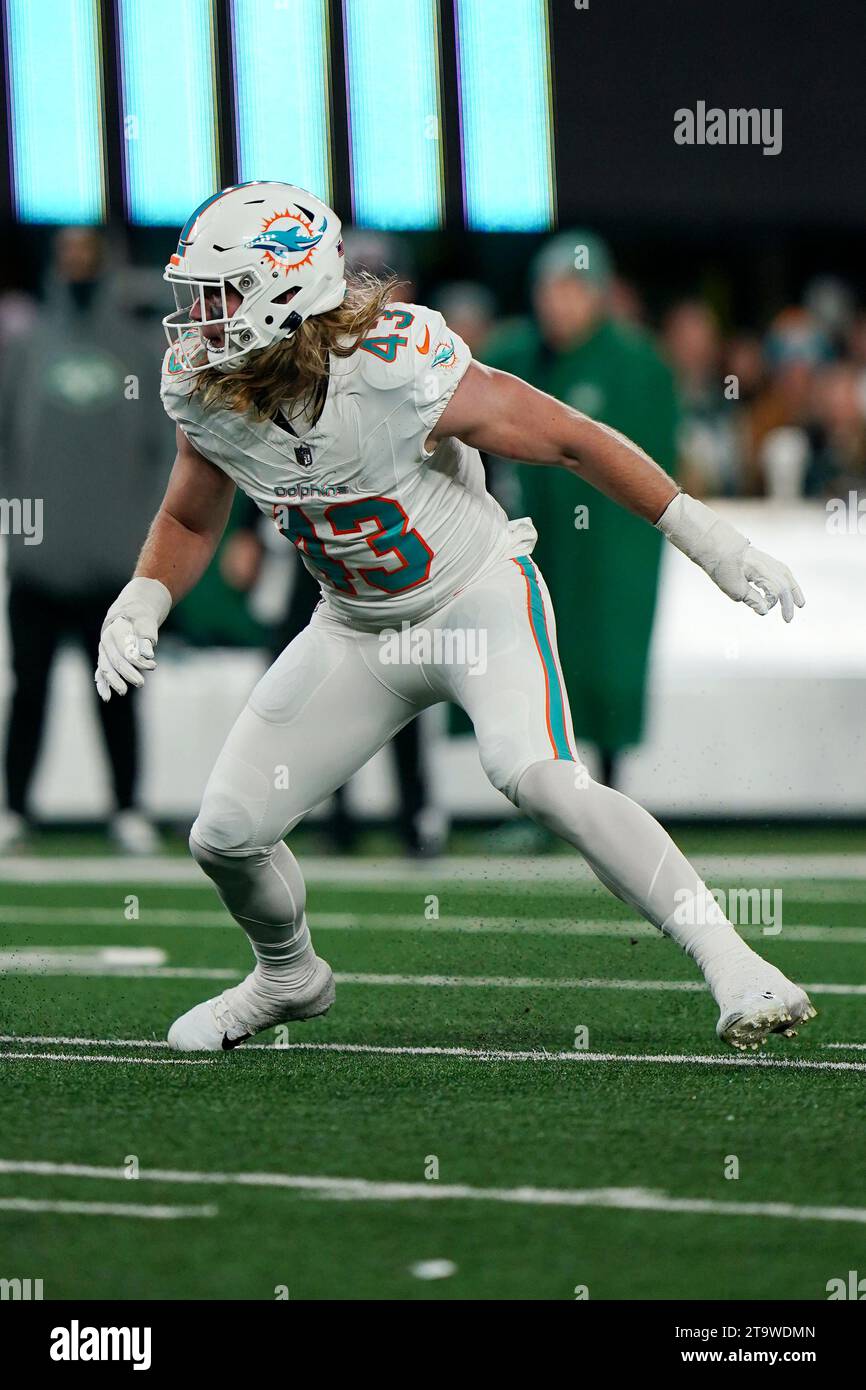 Miami Dolphins linebacker Andrew Van Ginkel (43) during an NFL football ...