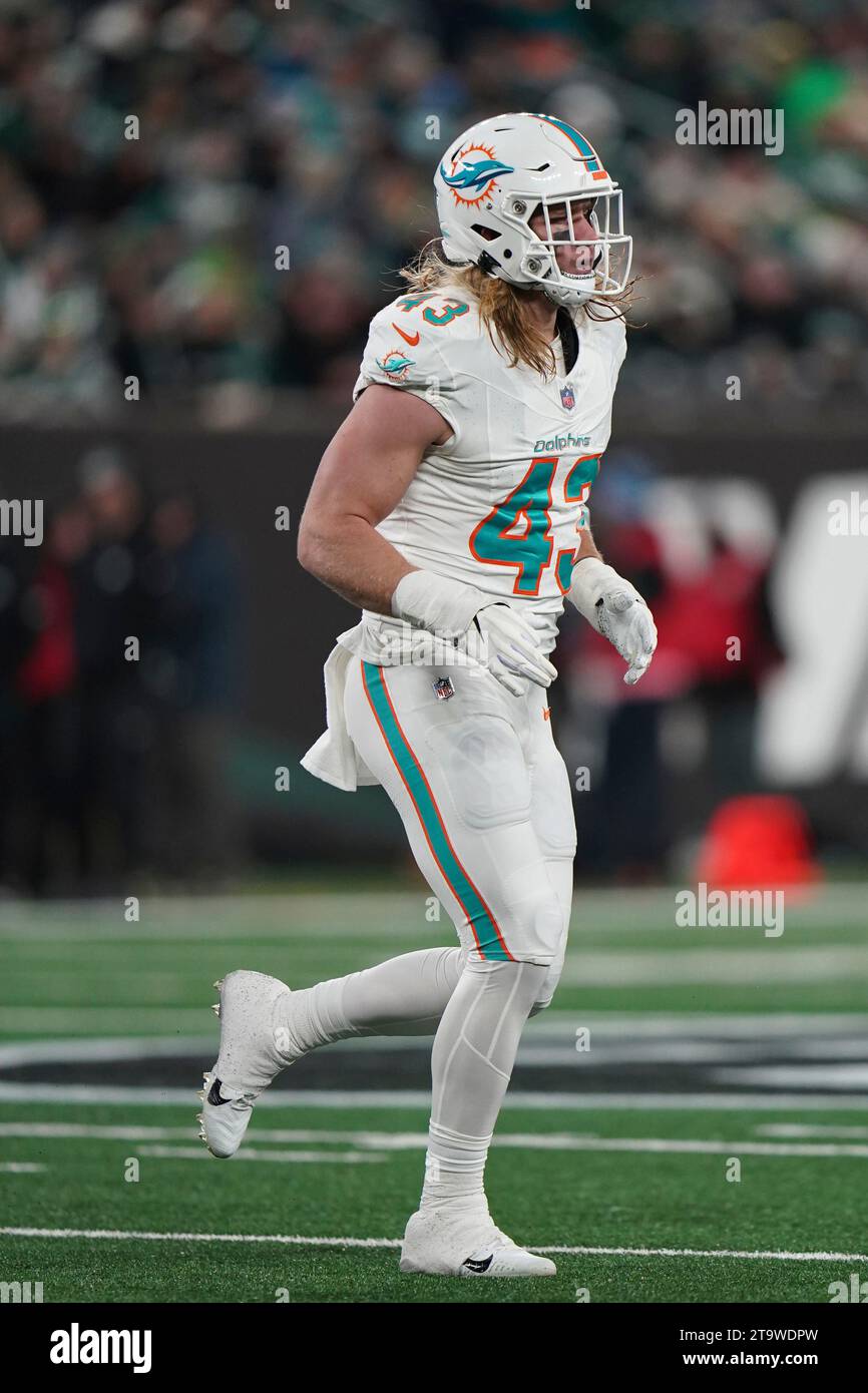 Miami Dolphins linebacker Andrew Van Ginkel (43) during an NFL football ...
