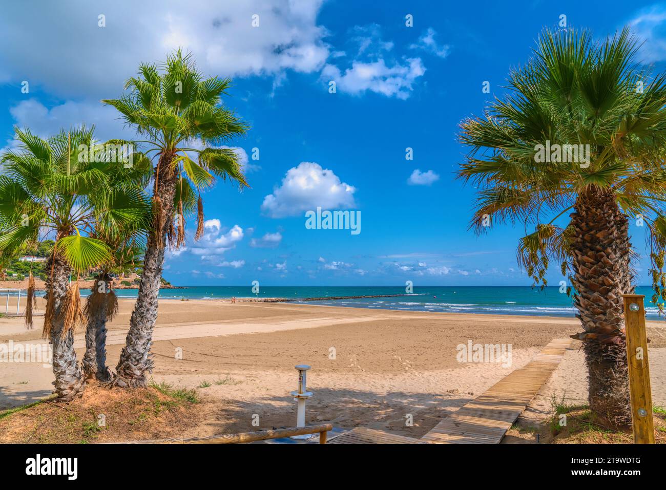 Palm trees Benicassim beach Spain Playa Voramar Spanish travel ...