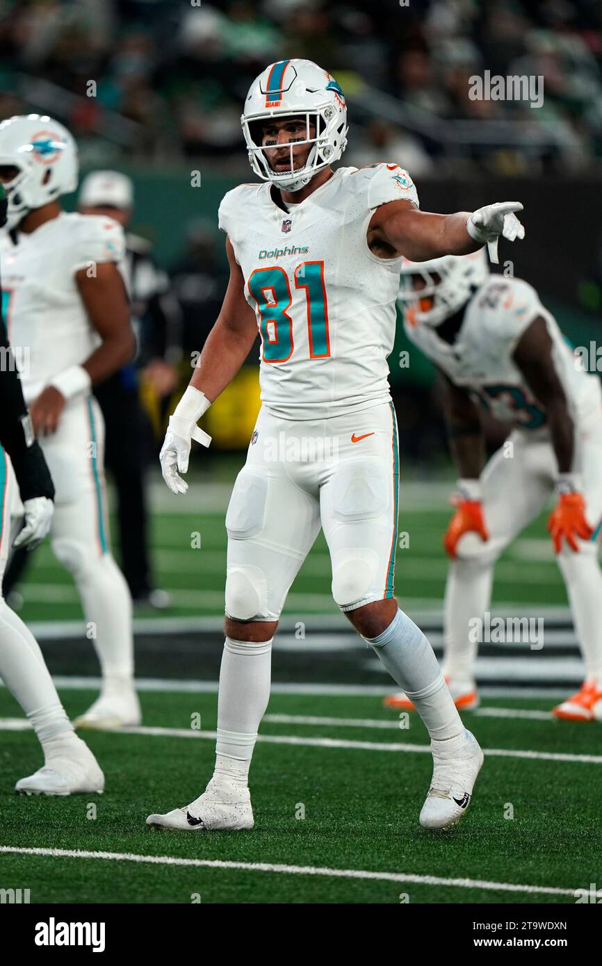 Miami Dolphins tight end Durham Smythe (81) during an NFL football game ...