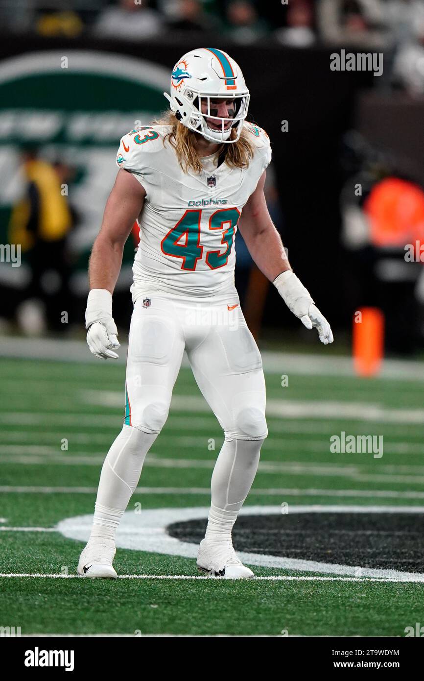 Miami Dolphins linebacker Andrew Van Ginkel (43) during an NFL football ...