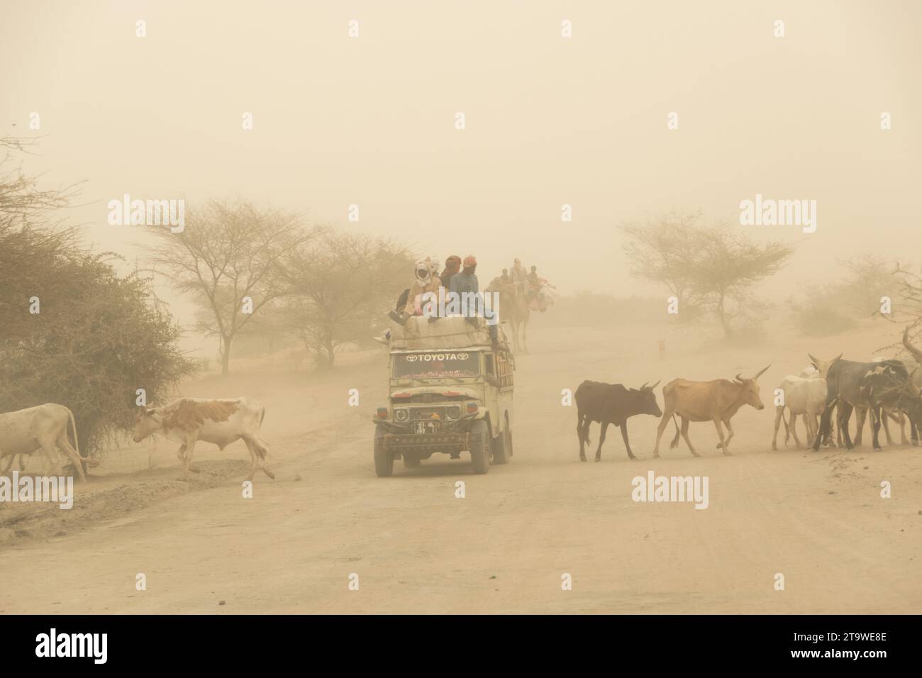 Sand storm day hi-res stock photography and images - Alamy