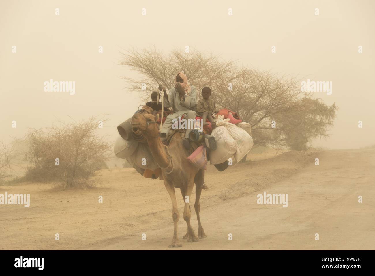 sand storm day in chad, central africa Stock Photo - Alamy