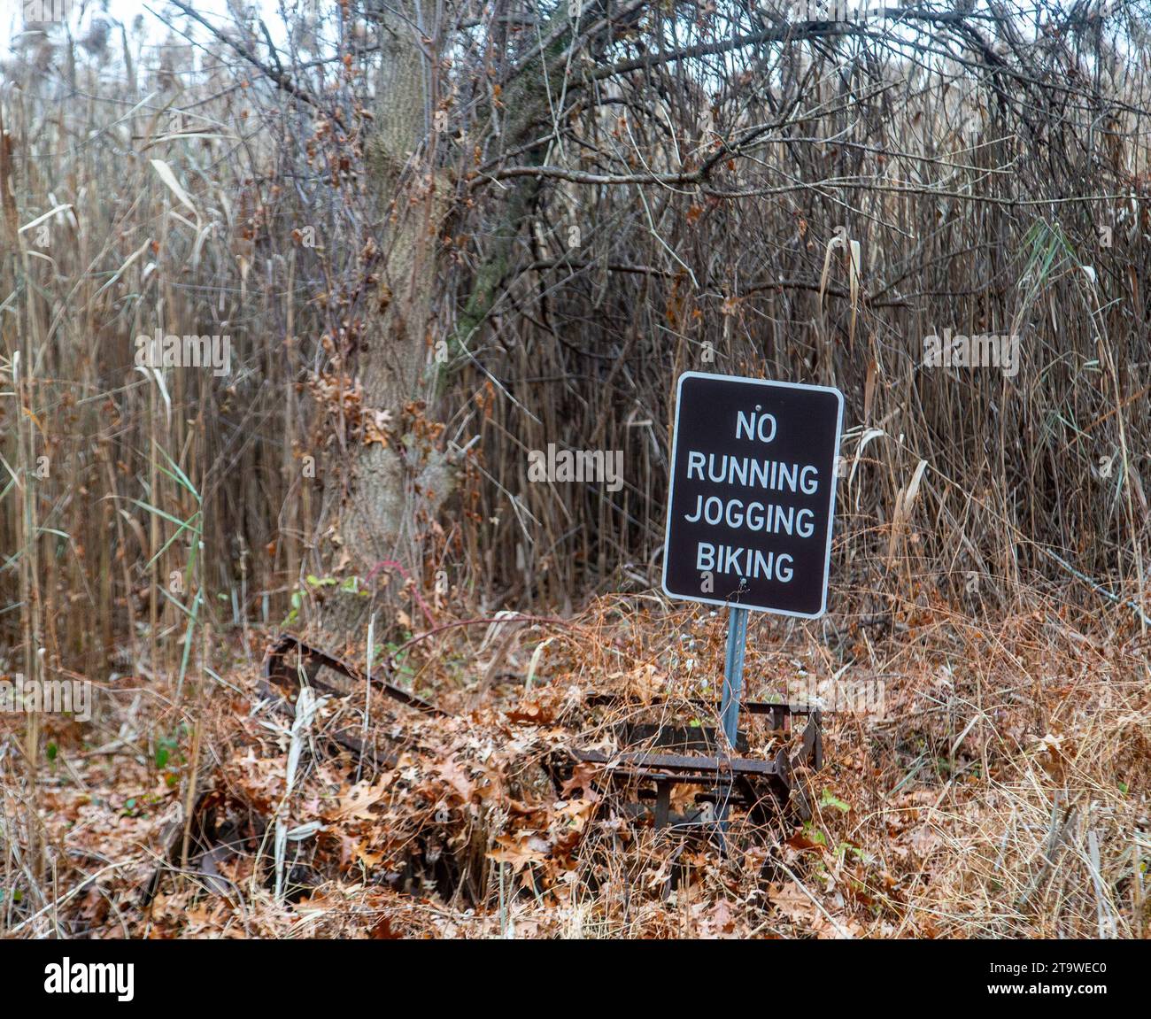 Biking no hi-res stock photography and images - Alamy