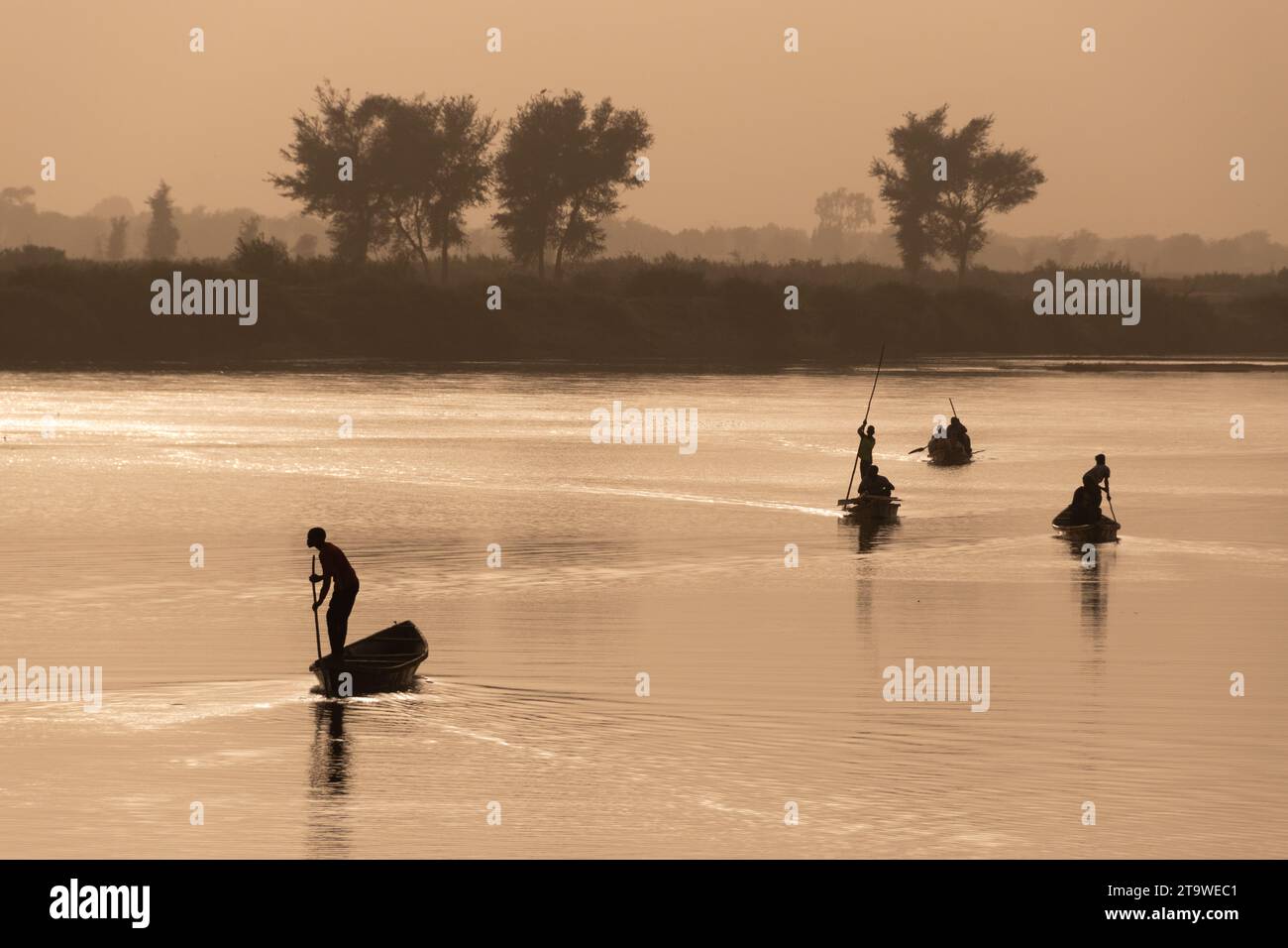 Logone river, the natural border between Chad and Cameroon Stock Photo ...