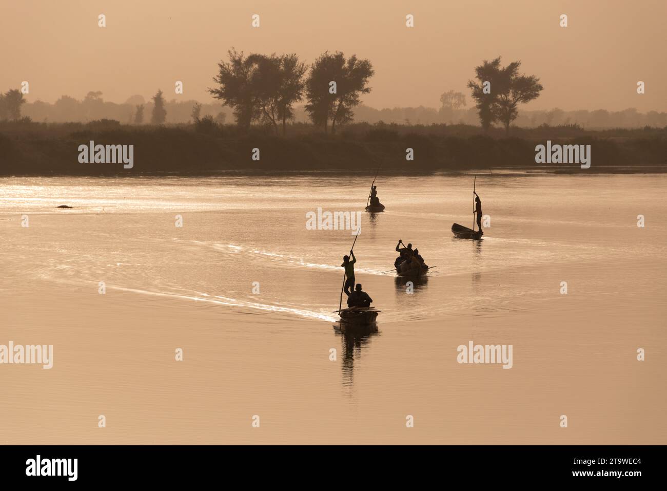 Logone river, the natural border between Chad and Cameroon Stock Photo ...