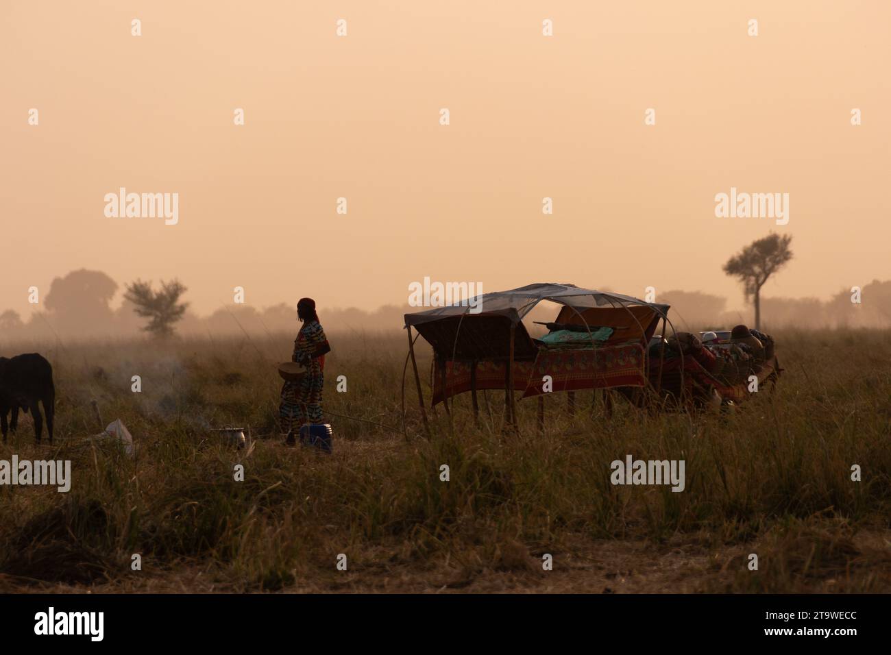 fulani people camp in chad Stock Photo - Alamy