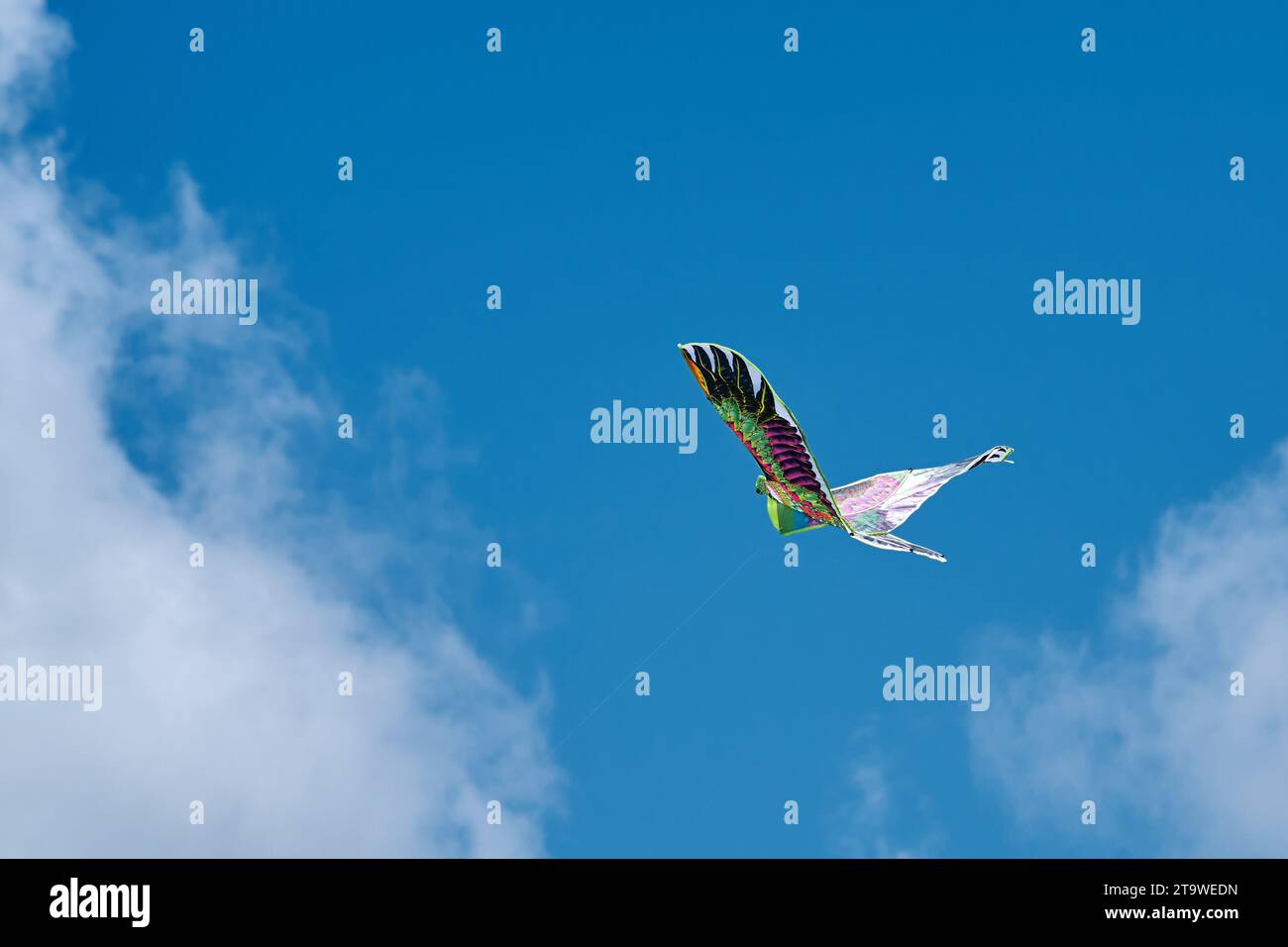 An outdoor kite flying festival. Kites are launched into the blue sky ...