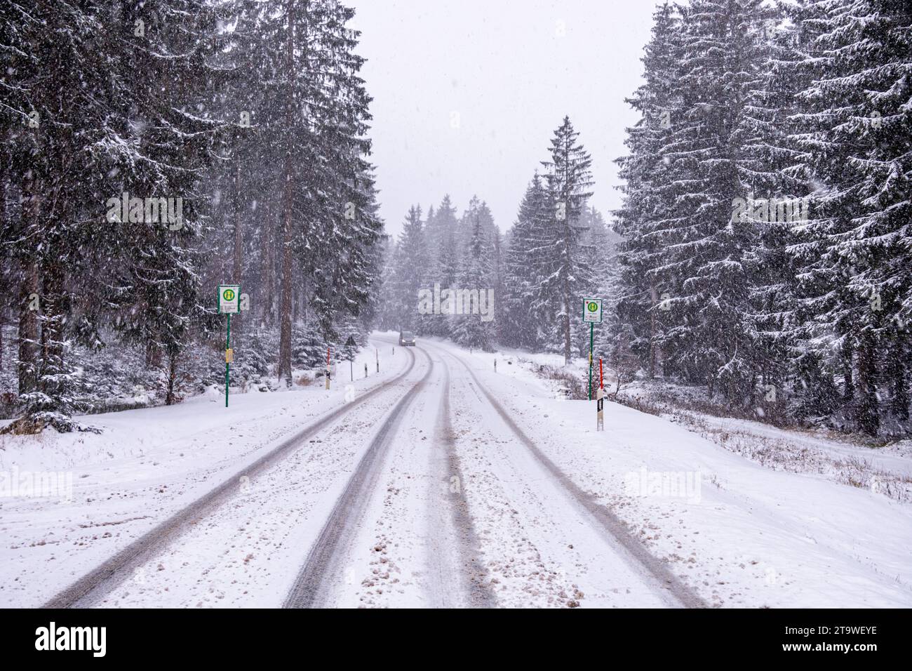 First winter hike through the snow-covered Thuringian Forest at ...
