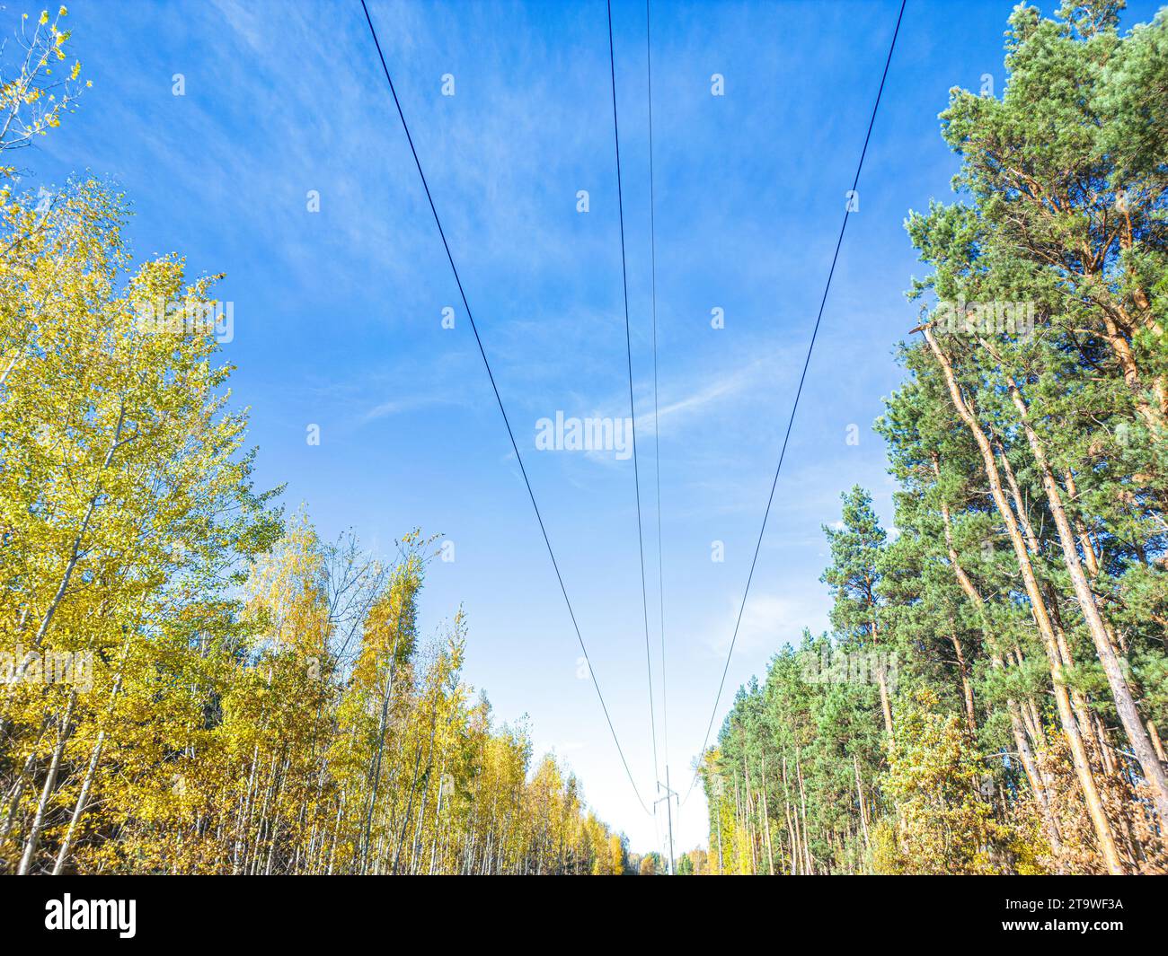 Transmission tower, power tower or electricity pylon. Consist of steel ...