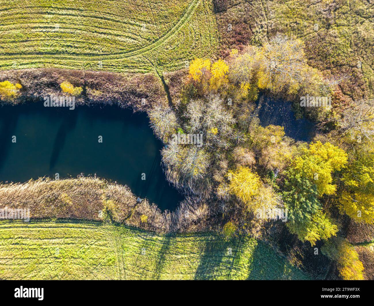 Aerial view of beautiful smooth green waters of a lake on a sunny ...