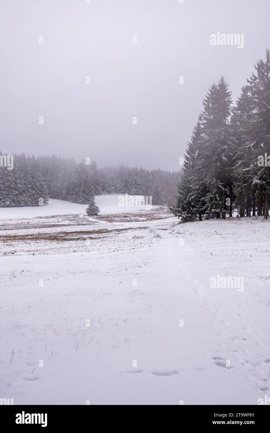 First winter hike through the snow-covered Thuringian Forest at ...
